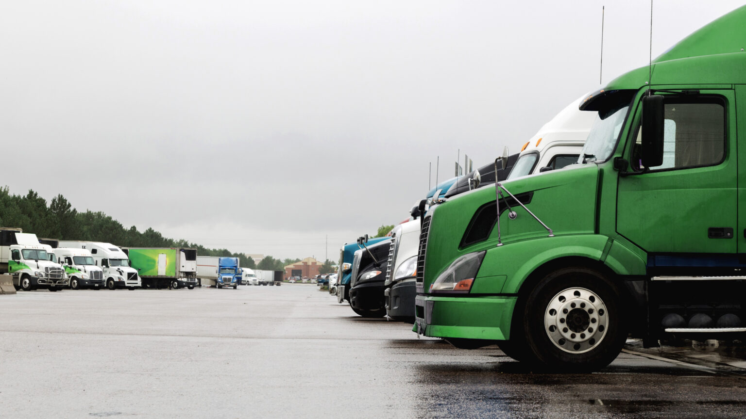 Insights - UCW Logistics